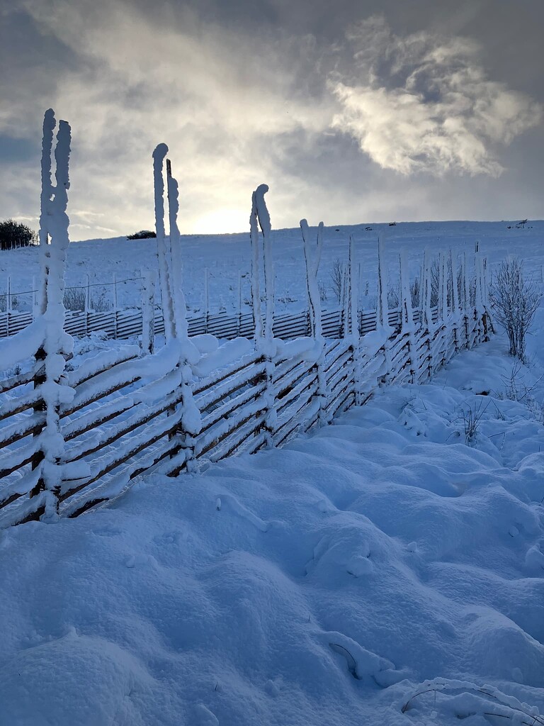 Scandinavian style pole fencing - Coppice - Reforesting Scotland ...
